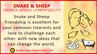 Snake and Sheep Chinese Zodiac Compatibility: Love and Relationship