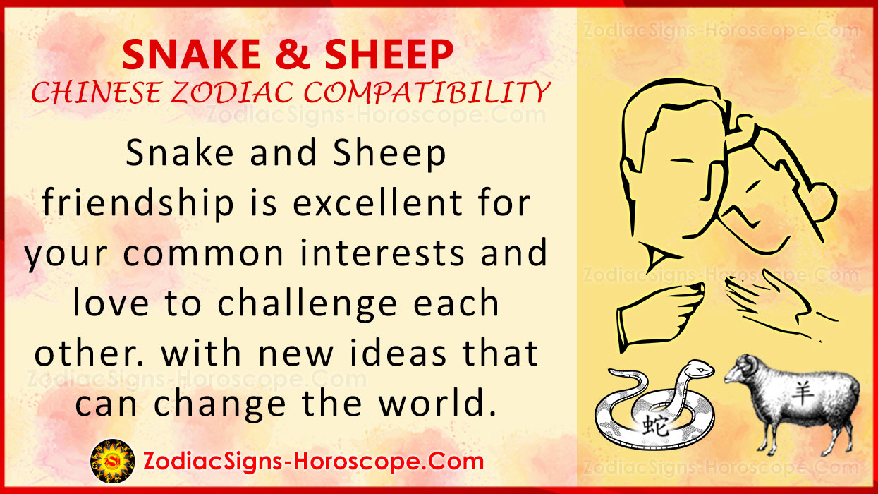 Snake and Sheep Chinese Zodiac Compatibility: Love and Relationship