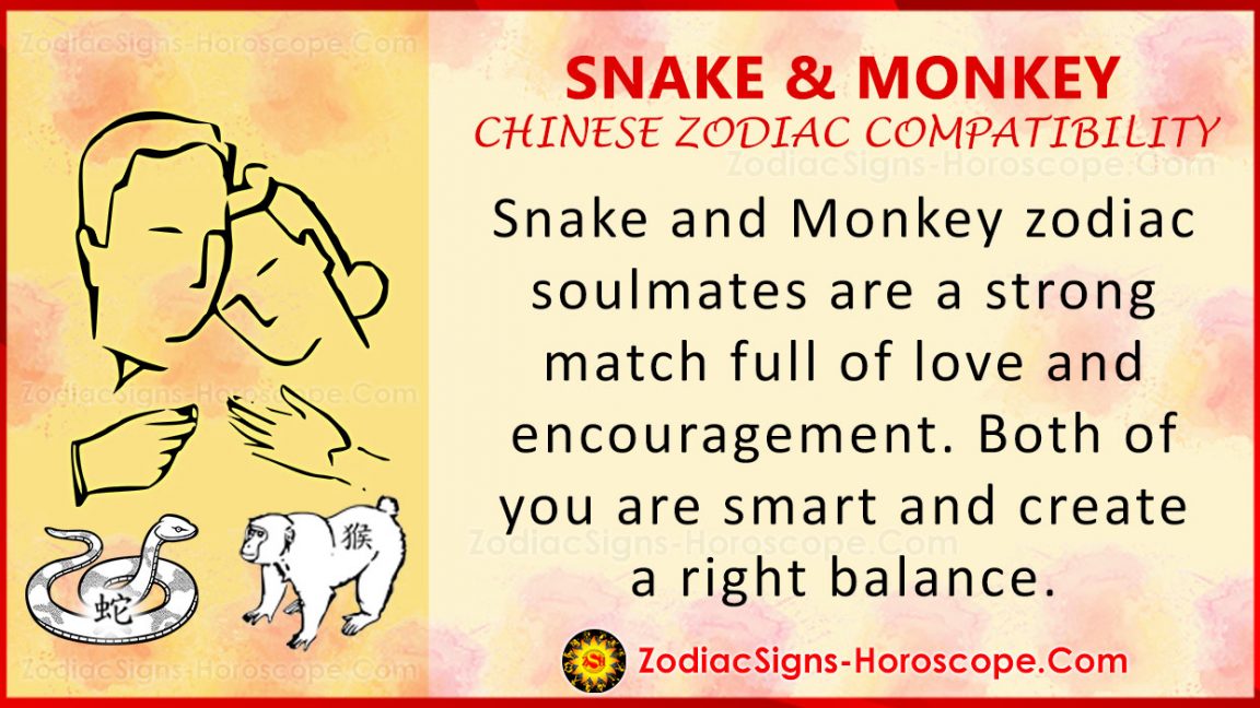 Snake and Monkey Chinese Zodiac Compatibility: Love and Relationship