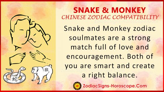 Snake and Monkey Chinese Zodiac Compatibility: Love and Relationship