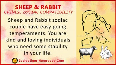 Sheep and Rabbit Chinese Zodiac Compatibility: Love and Relationship
