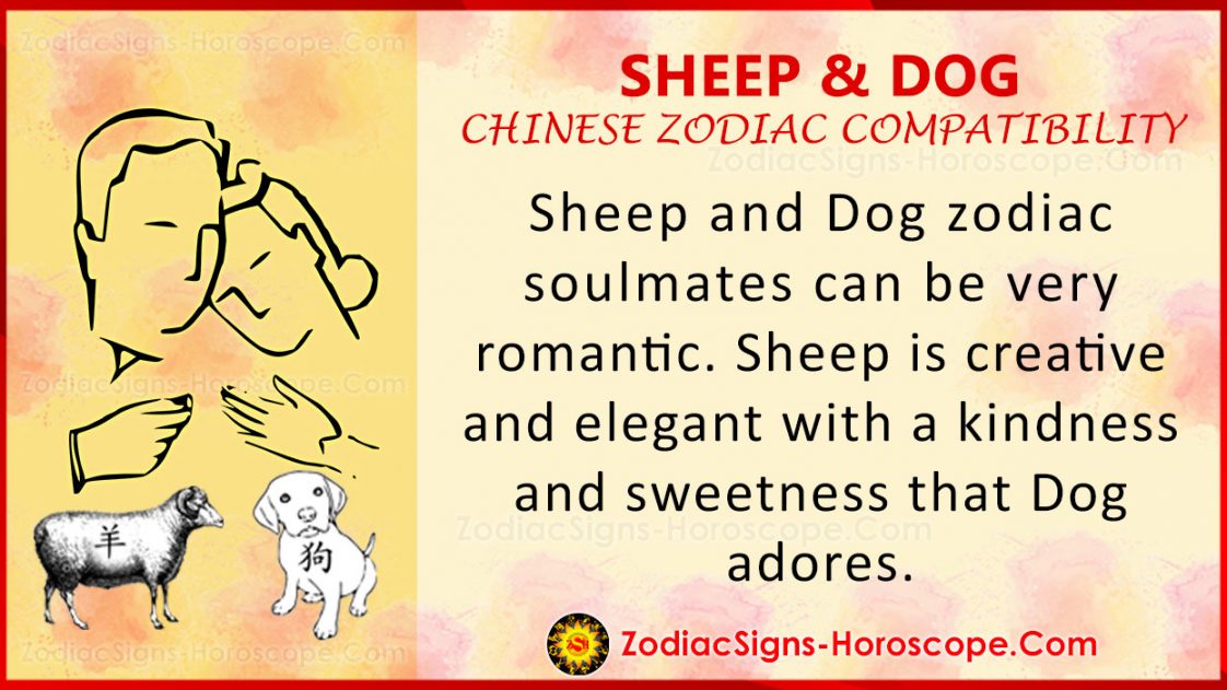 Sheep and Dog Compatibility, Love and Marriage in Chinese Zodiac