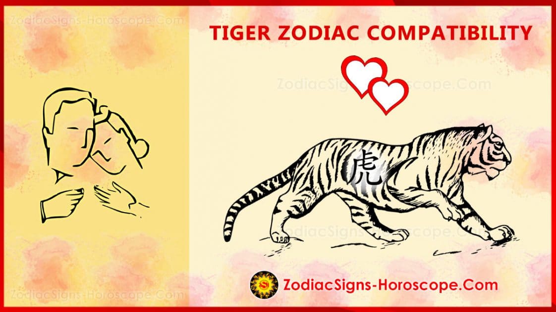 Tiger Compatibility, Love and Marriage - Chinese Zodiac Compatibility