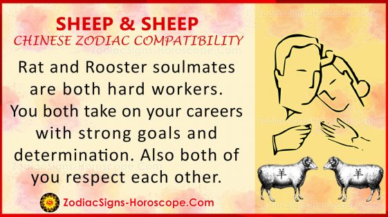 Sheep and Sheep Compatibility, Love and Marriage in Chinese Zodiac