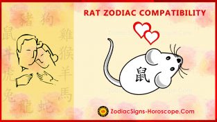 Rat Compatibility, Love and Marriage - Chinese Zodiac Compatibility