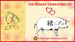 Pig Compatibility, Love and Marriage - Chinese Zodiac Compatibility