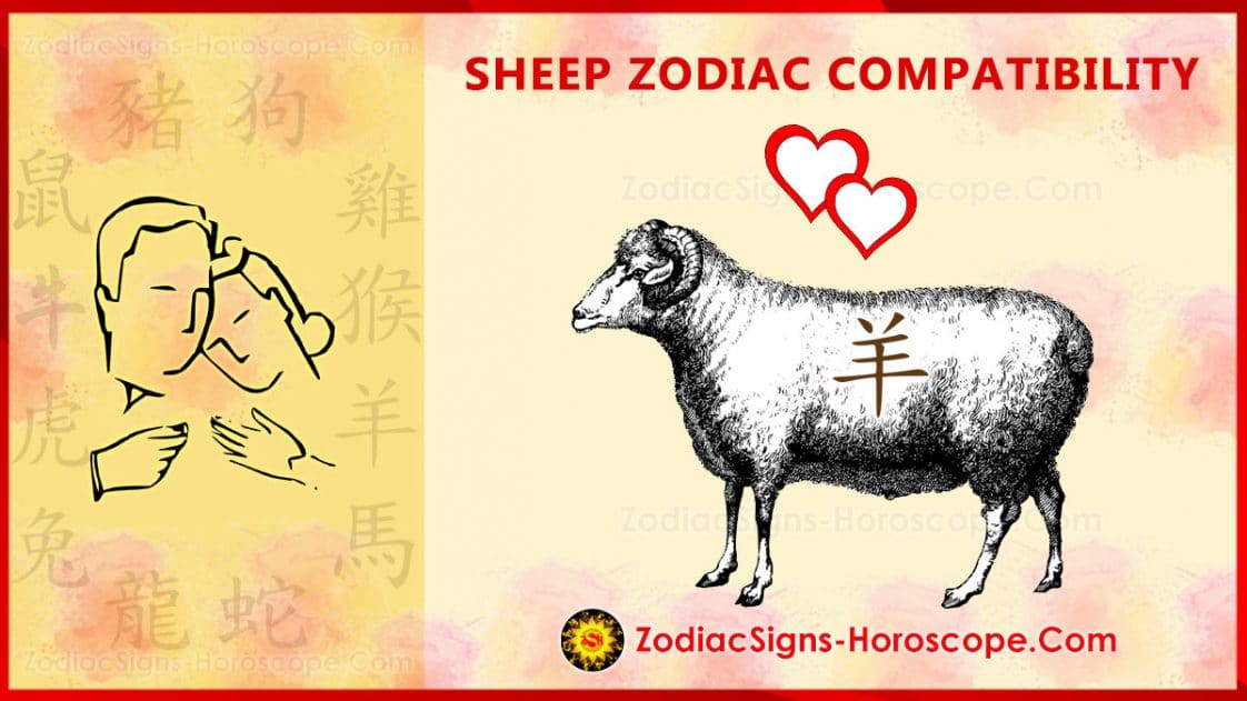 Sheep Compatibility, Love and Marriage - Chinese Zodiac Compatibility