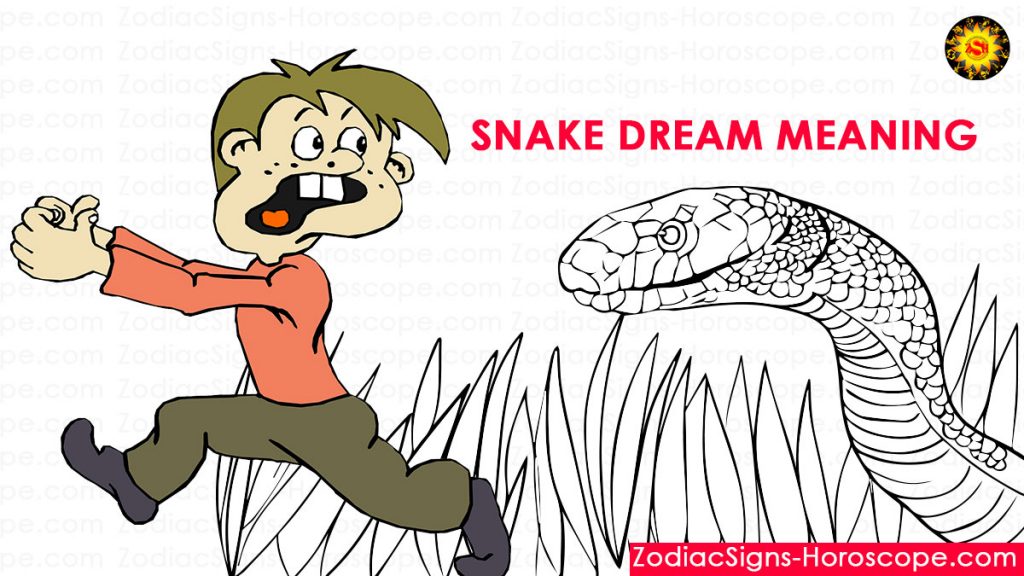 Snakes in Dreams: Meaning, Interpretation, And Symbolism In Life