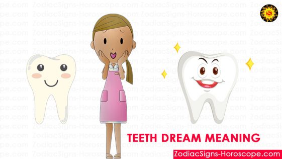 Dreams About Teeth: Meaning, Facts and Interpretation of Teeth Dream