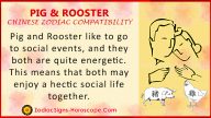 Pig and Rooster Compatibility: Zodiac Traits and Love Compatibility