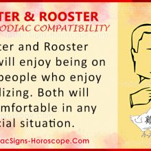 Rooster and Monkey Compatibility: Zodiac Traits and Love Compatibility