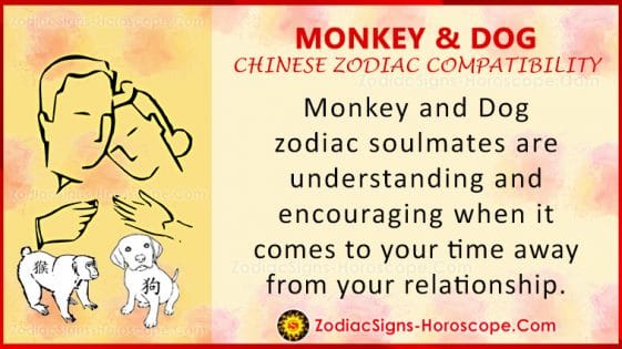 Monkey and Dog Compatibility: Zodiac Traits and Love Compatibility