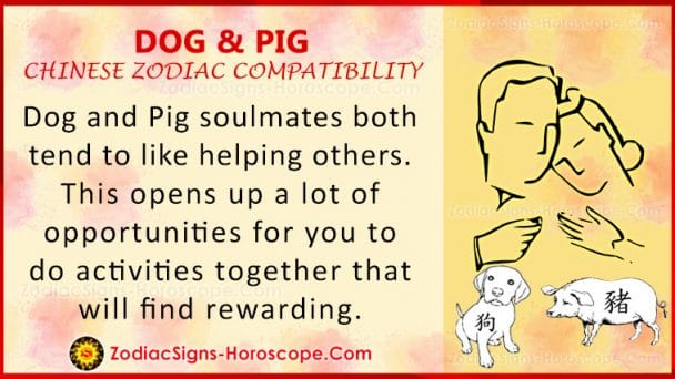 Dog and Pig Compatibility: Chinese Zodiac Traits and Love Compatibility