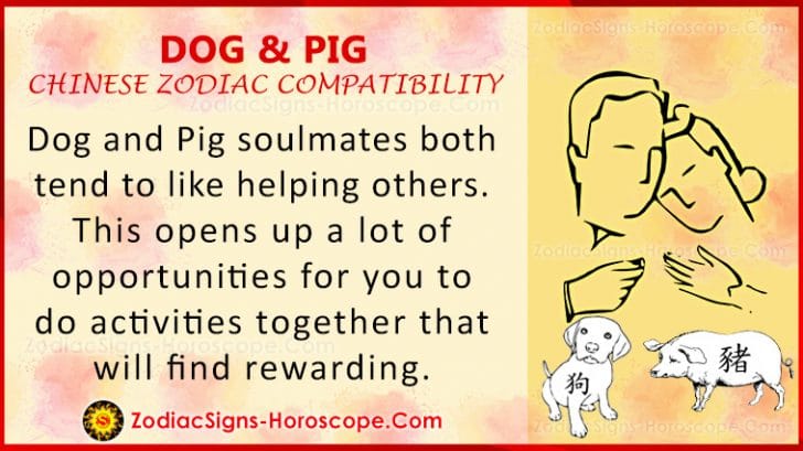 Dog and Pig Compatibility: Chinese Zodiac Traits and Love Compatibility