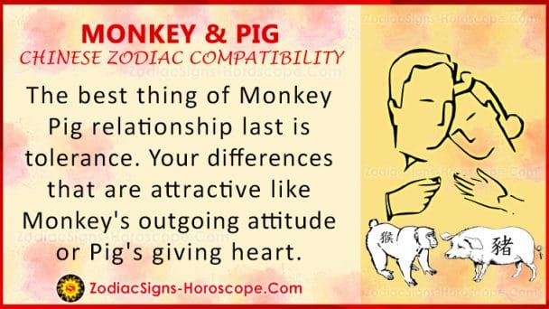 Monkey and Pig Compatibility: Zodiac Traits and Love Compatibility