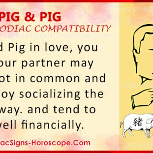 Pig and Dog Compatibility: Chinese Zodiac Traits and Love Compatibility