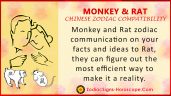 Monkey and Rat Compatibility: Love, Relationship Traits in Chinese Zodiac