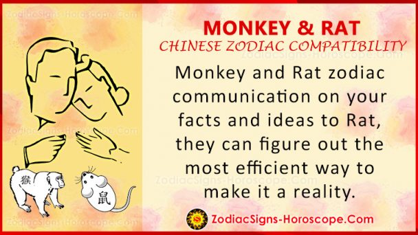 Monkey and Rat Compatibility: Love, Relationship Traits in Chinese Zodiac