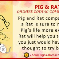 Pig and Ox Compatibility: Chinese Zodiac Traits and Love Compatibility