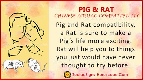Pig and Rat Compatibility: Chinese Zodiac Traits and Love Compatibility