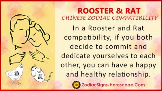 Rooster and Rat Compatibility: Zodiac Traits and Love Compatibility