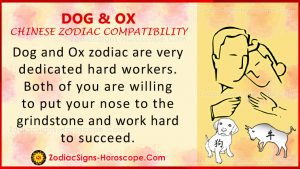 Dog and Ox Compatibility: Chinese Zodiac Traits and Love Compatibility