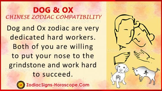 Dog and Ox Compatibility: Chinese Zodiac Traits and Love Compatibility