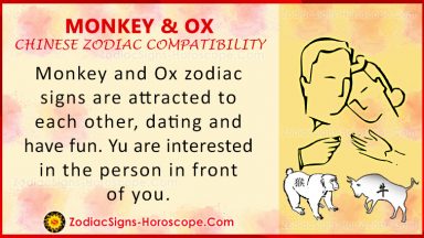 Monkey and Ox Compatibility: Love, Relationship Traits in Chinese Zodiac