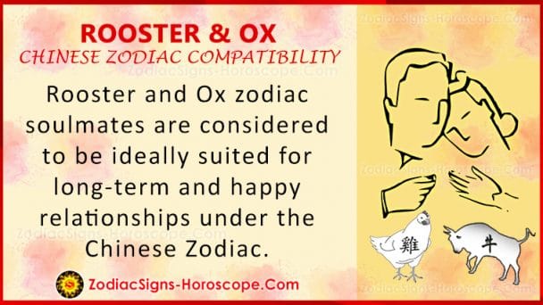 Rooster and Ox Compatibility: Zodiac Traits and Love Compatibility