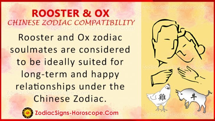 Rooster and Ox Compatibility: Zodiac Traits and Love Compatibility