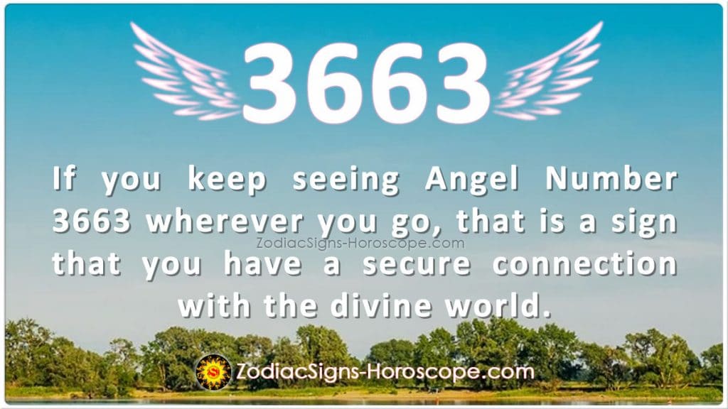 Angel Number 3663 Makes a Secure Connection with the Divine World