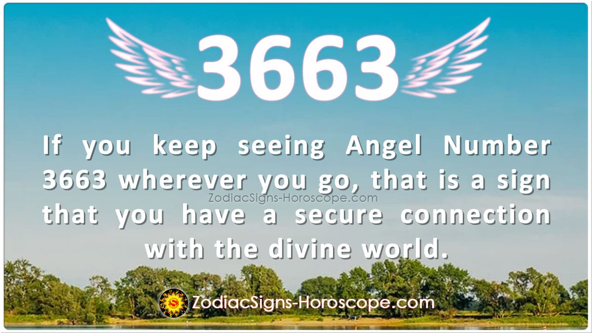 Angel Number 3663 Makes a Secure Connection with the Divine World