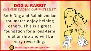 Dog and Rabbit Compatibility: Zodiac Traits and Love Compatibility