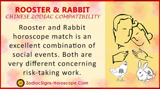 Rooster and Rabbit Compatibility: Zodiac Traits and Love Compatibility