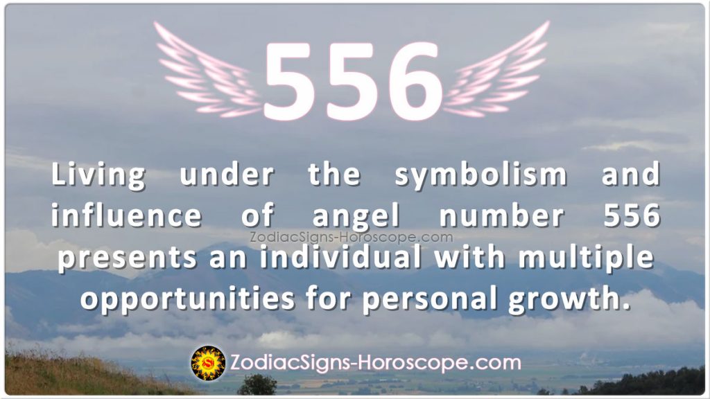 Seeing Angel Number 556 is Your Greatest Life Opportunity | 556 Meaning