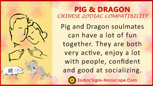Pig and Dragon Compatibility: Zodiac Traits and Love Compatibility