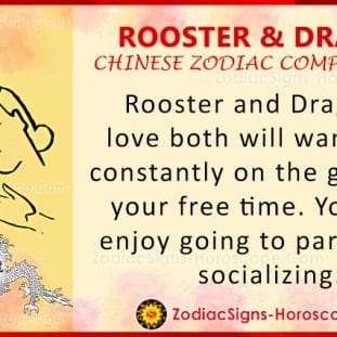 Rooster and Snake Compatibility: Zodiac Traits and Love Compatibility