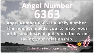 Angel Number 6363 Helps You To Overcome All The Challenges | ZSH