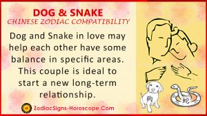 Dog and Snake Compatibility: Zodiac Traits and Love Compatibility