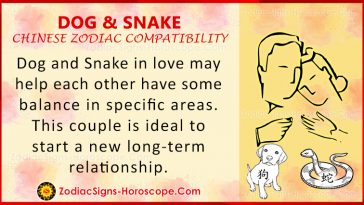 Dog and Snake Compatibility: Zodiac Traits and Love Compatibility