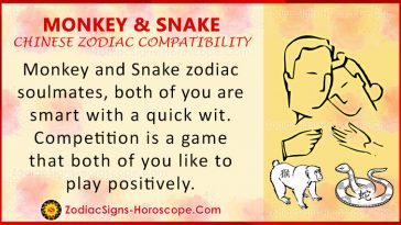 Monkey and Snake Compatibility: Zodiac Traits and Love Compatibility