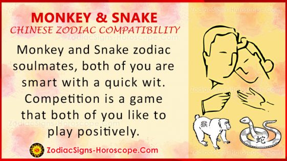 Monkey and Snake Compatibility: Zodiac Traits and Love Compatibility