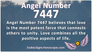 Angel Number 7447 Says Take Opportunities And Make New Discoveries