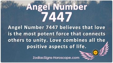Angel Number 7447 Says Take Opportunities And Make New Discoveries