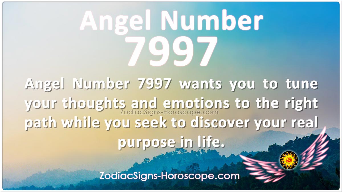 Angel Number 7997 will help you seek to discover your real purpose in life