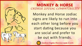 Monkey and Horse Compatibility: Zodiac Traits and Love Compatibility