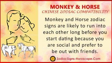 Monkey and Horse Compatibility: Zodiac Traits and Love Compatibility