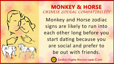 Monkey and Horse Compatibility: Zodiac Traits and Love Compatibility