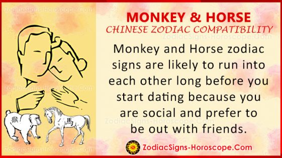 Monkey and Horse Compatibility: Zodiac Traits and Love Compatibility