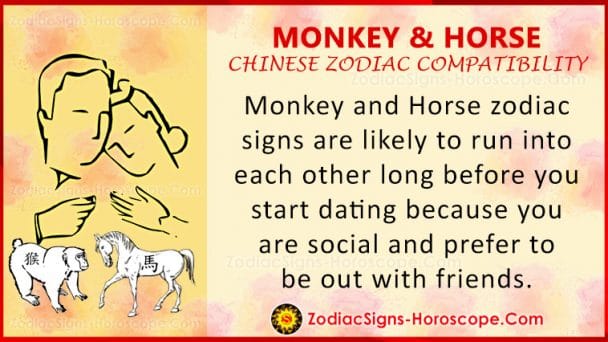 Monkey and Horse Compatibility: Zodiac Traits and Love Compatibility